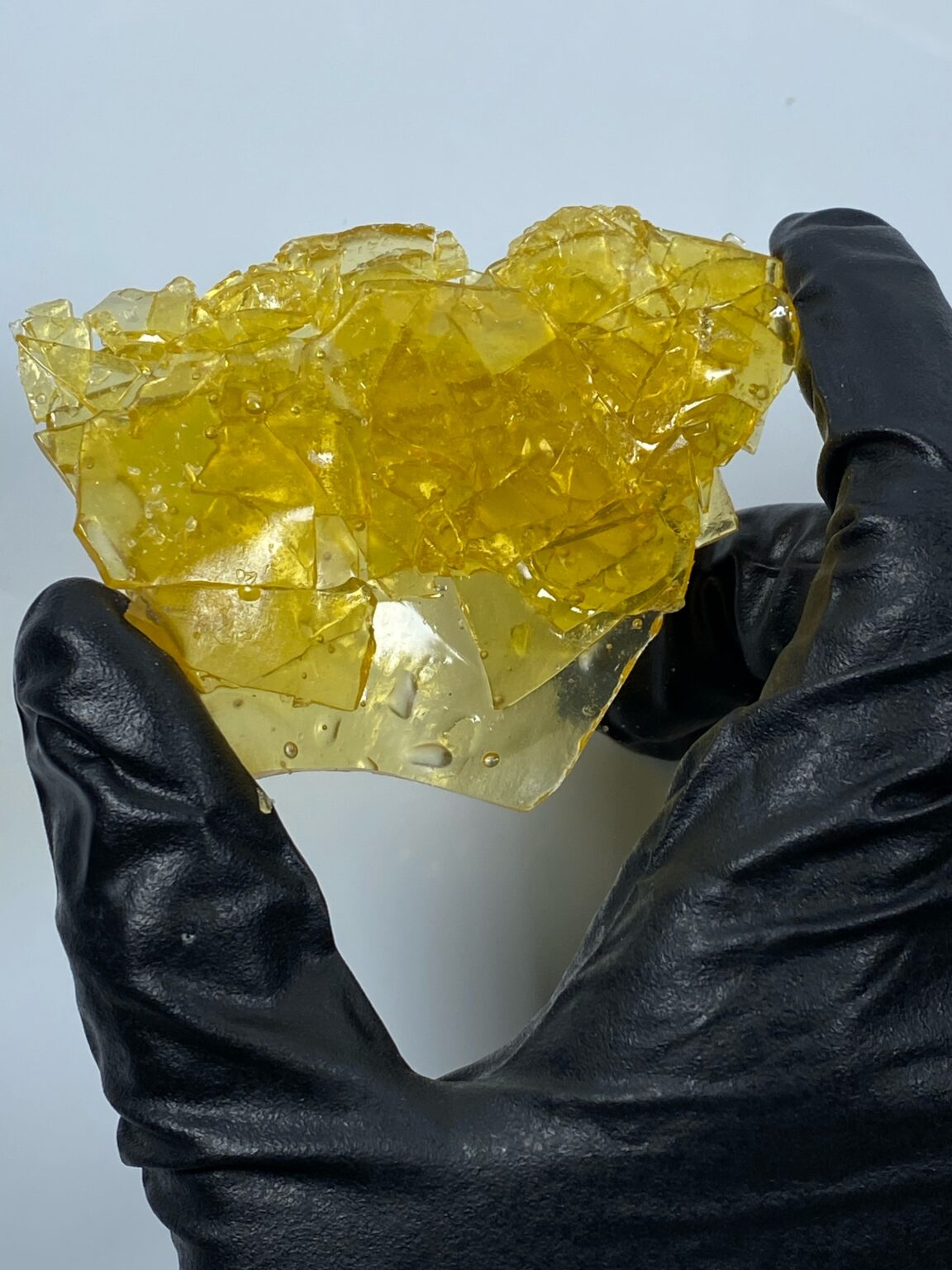 Buy Cannatonic Strain - Balanced Hybrid Shatter - Galaxy MJ • Fraser Bud