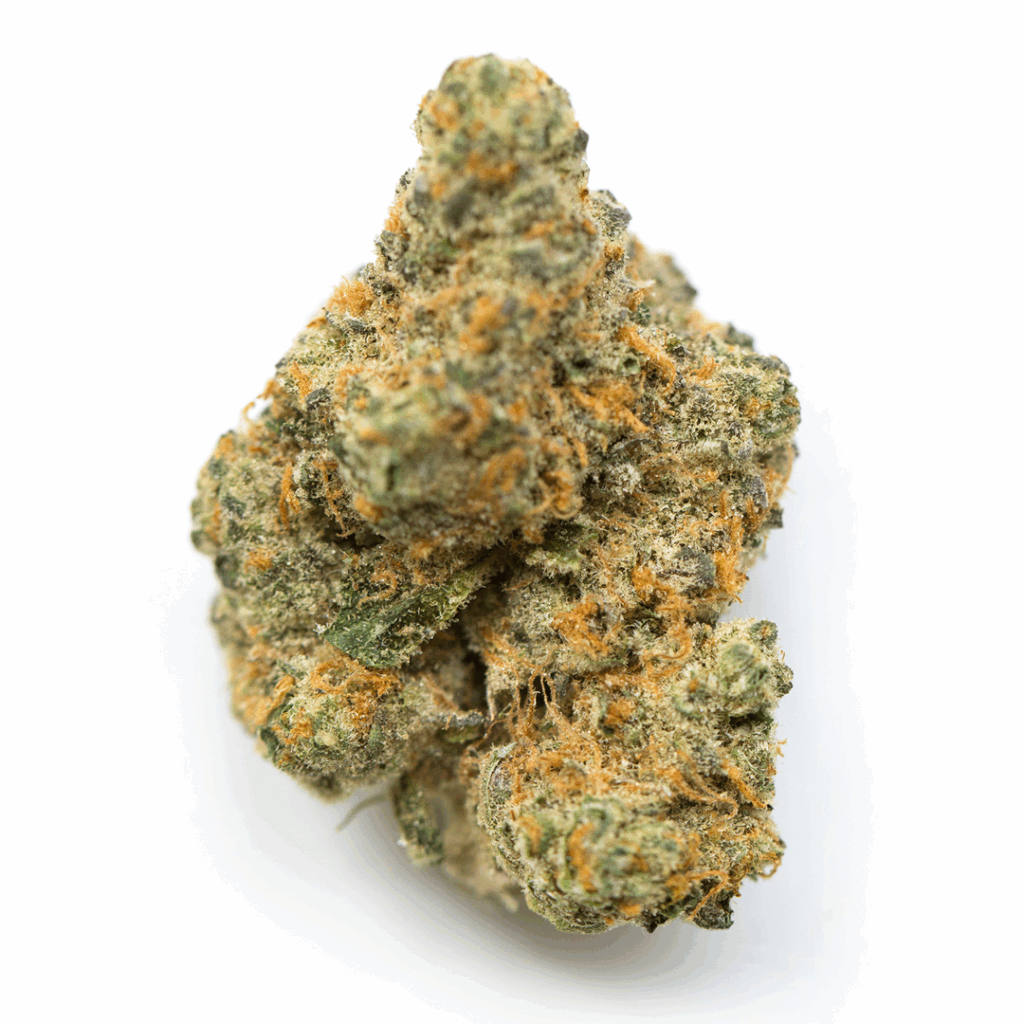 Buy White Gorilla Strain - Indica Hybrid Bud - Galaxy MJ • Fraser Bud